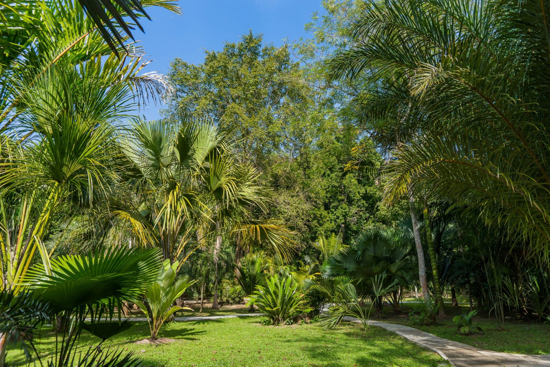 Tour 3-Days 2 Nights Botanical Riverside & Local Experience